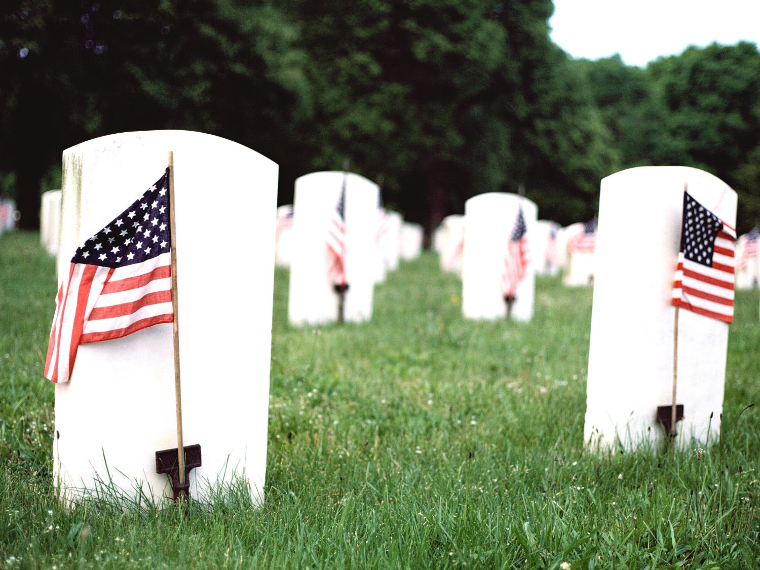 10 Best American War Movies To Better Understand America's Military ...