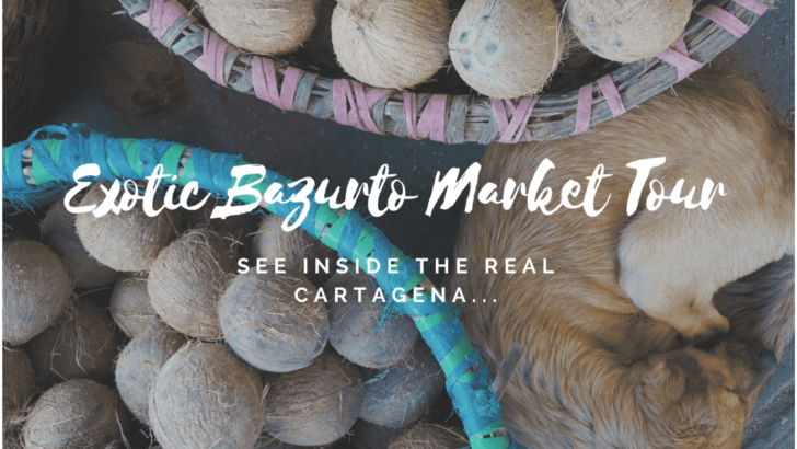 Exotic Bazurto Market Tour: Inside The Real Cartagena