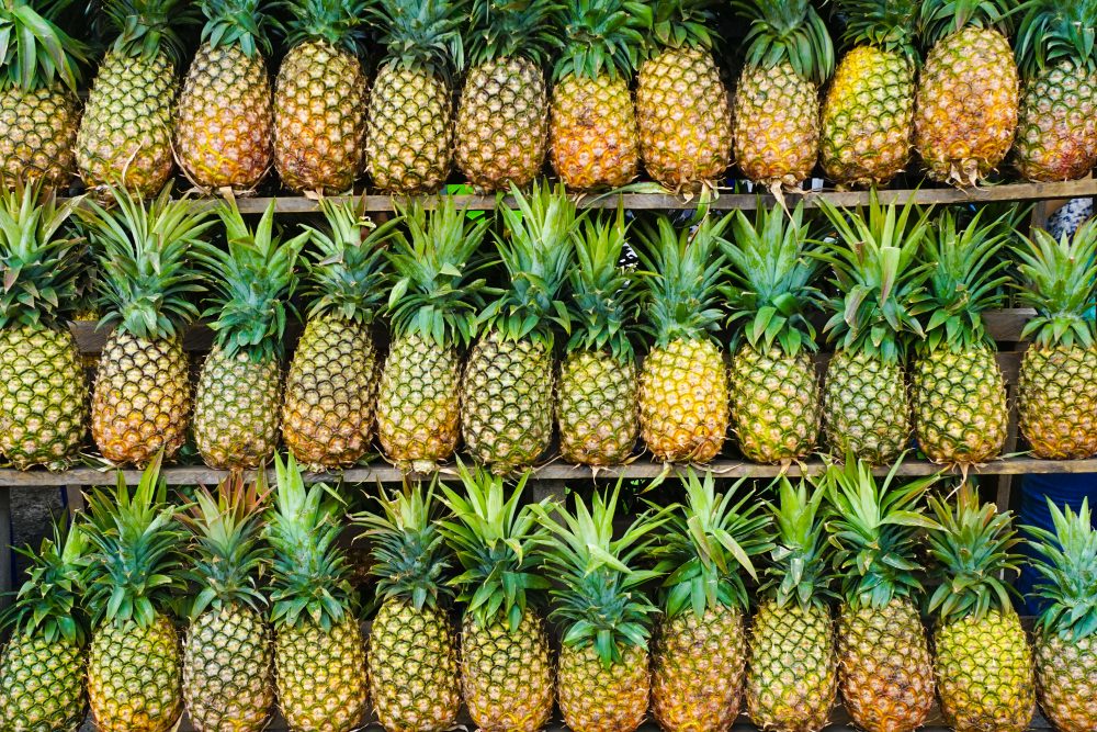 Why You Cannot Miss Visiting The Chia Te Bakery In Taipei