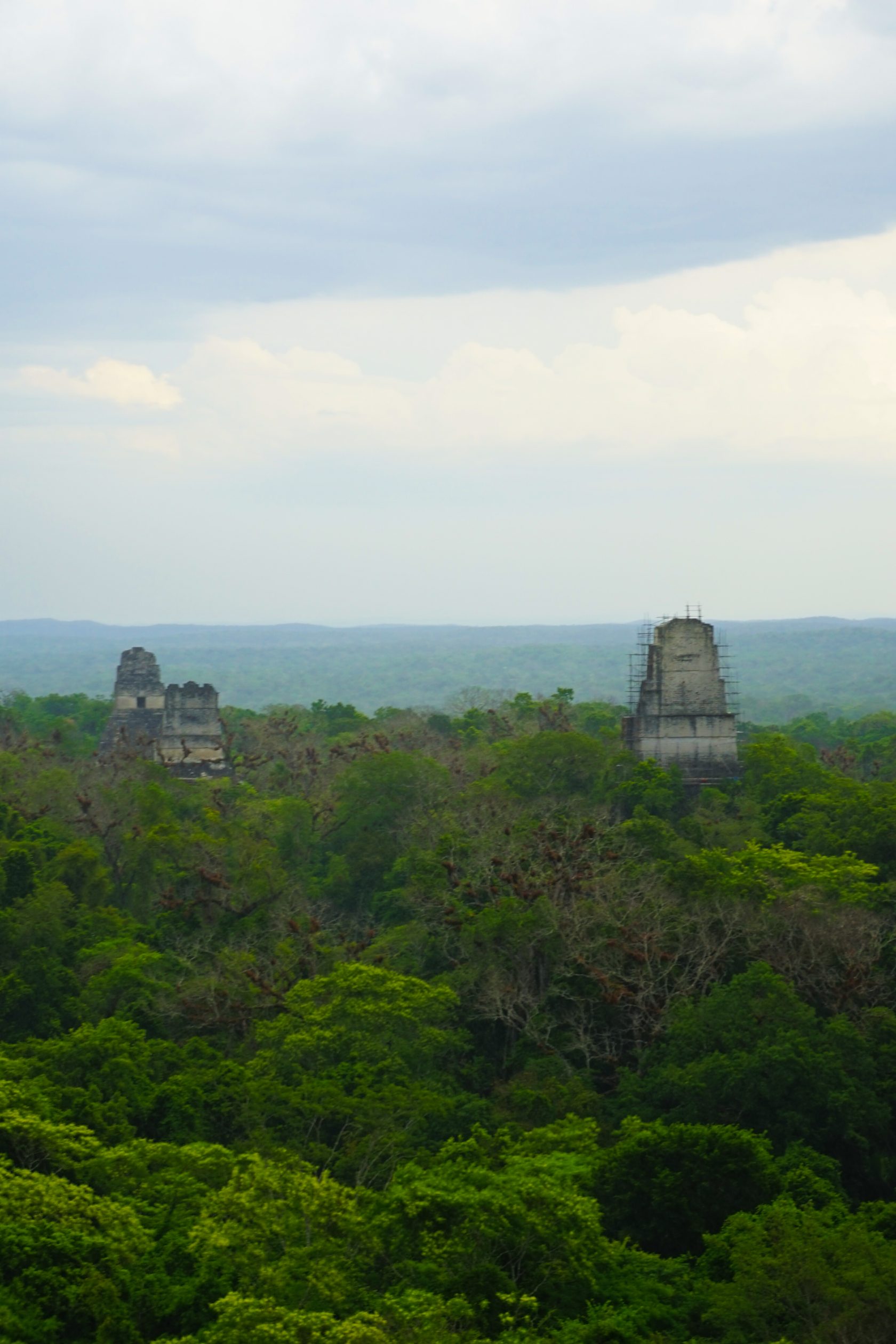 The Ultimate Tikal Guide: Unlocking Tikal National Park In Guatemala