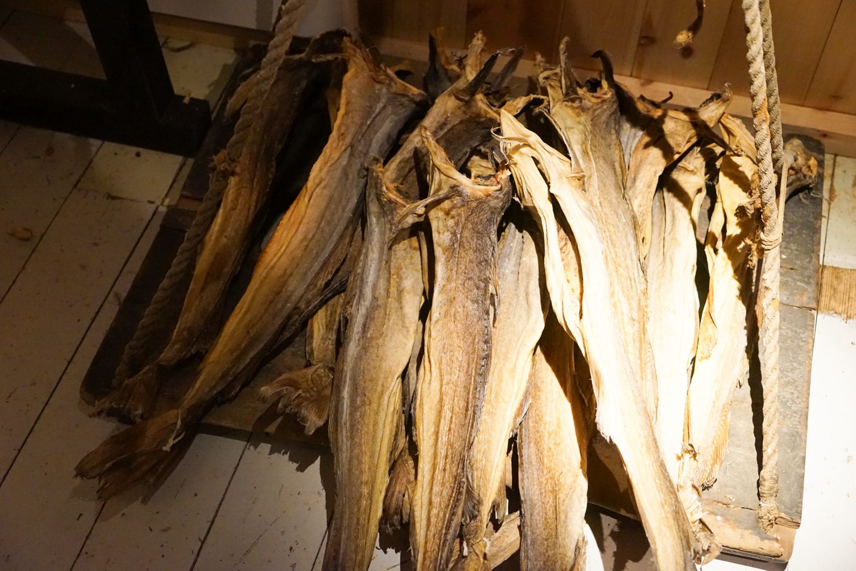 Bergen In A Nutshell: 20 Unmissable Things To Do In Bergen Norway!