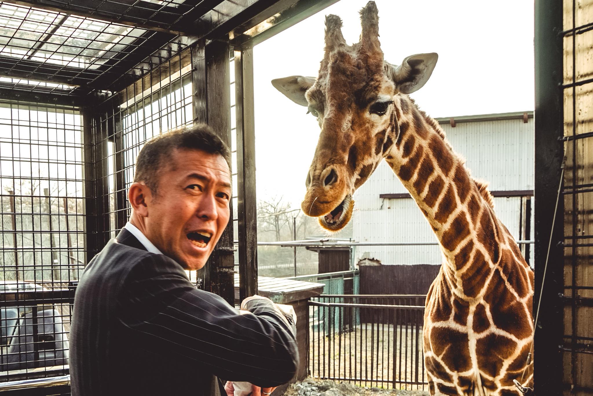 The Best Things To Do In Nasu: Japan's Intriguing Royal Resort Town