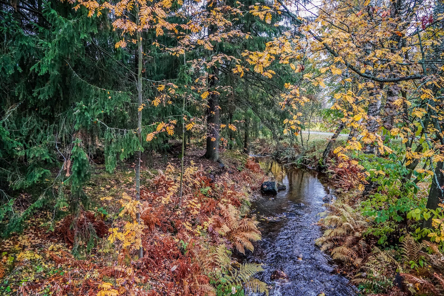 15 Fun Things To Do In Oulu: Northern Peace Meets Coastal Finland