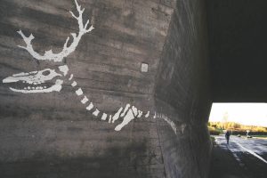 20 Fun Things To Do In Rovaniemi: The Capital Of Lapland | Inspired By Maps