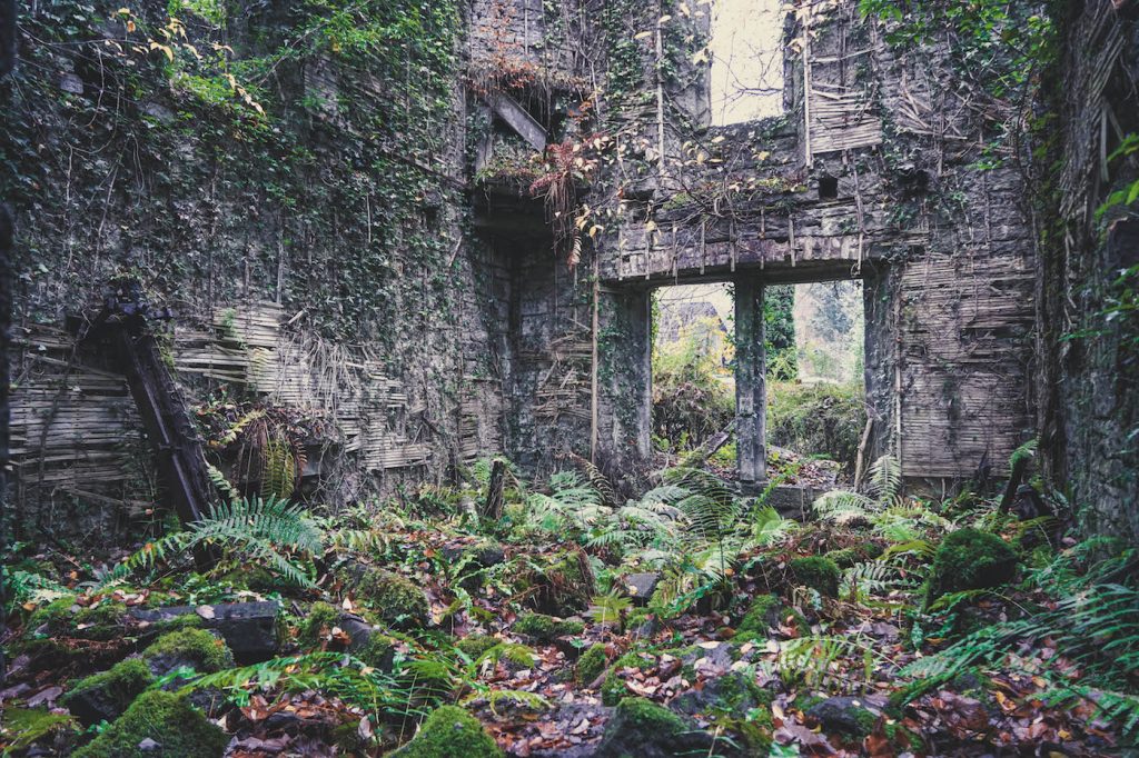 Exploring The Spooky - And Abandoned - Buchanan Castle In Scotland