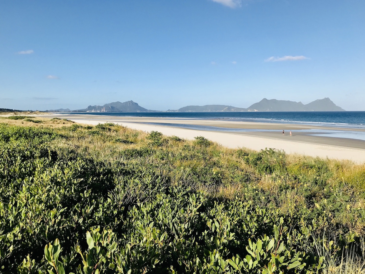 NZ Travel: The Best Ruakaka Accommodation Options To Suit All Tastes ...