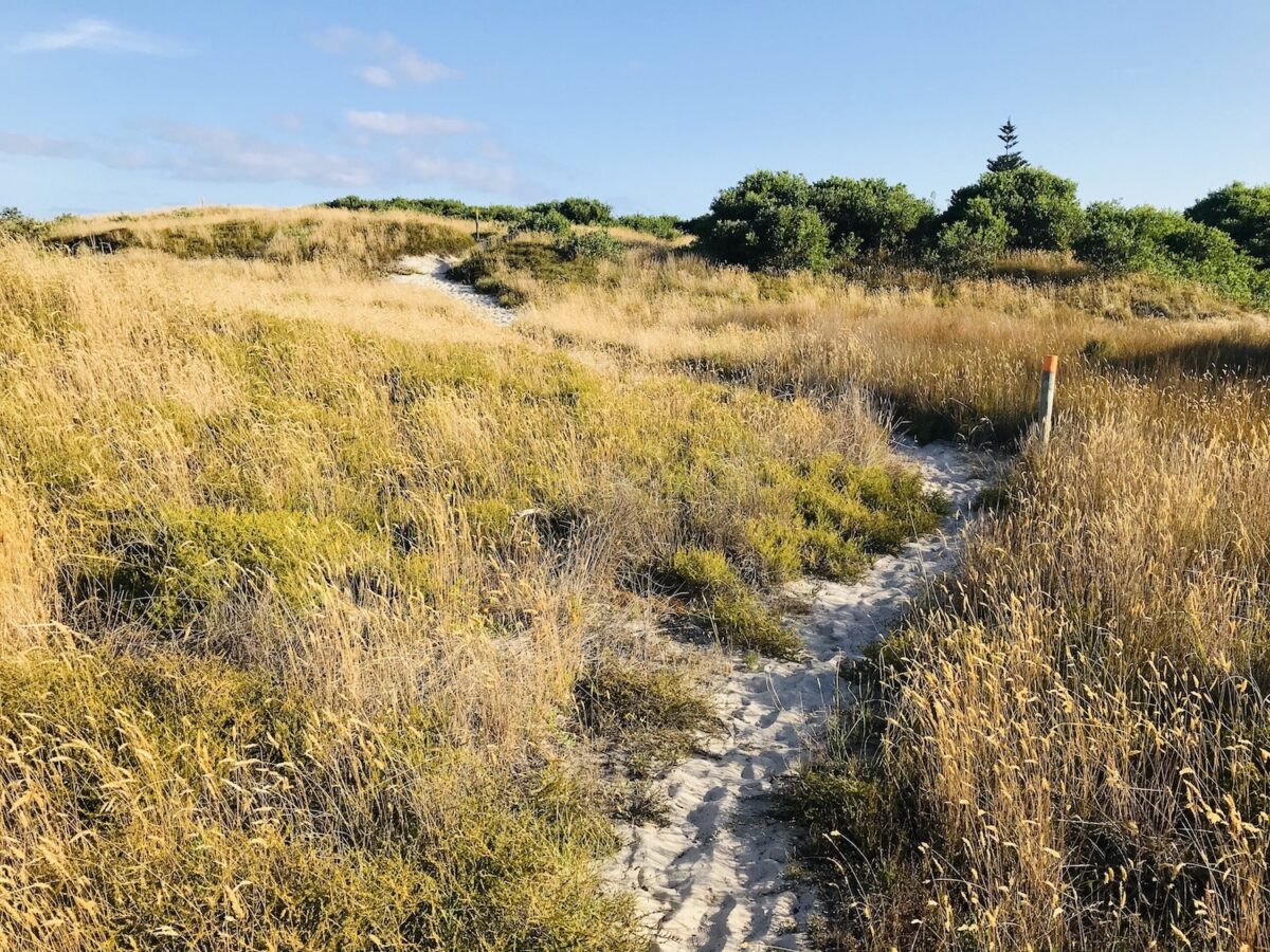 NZ Travel: The Best Ruakaka Accommodation Options To Suit All Tastes!