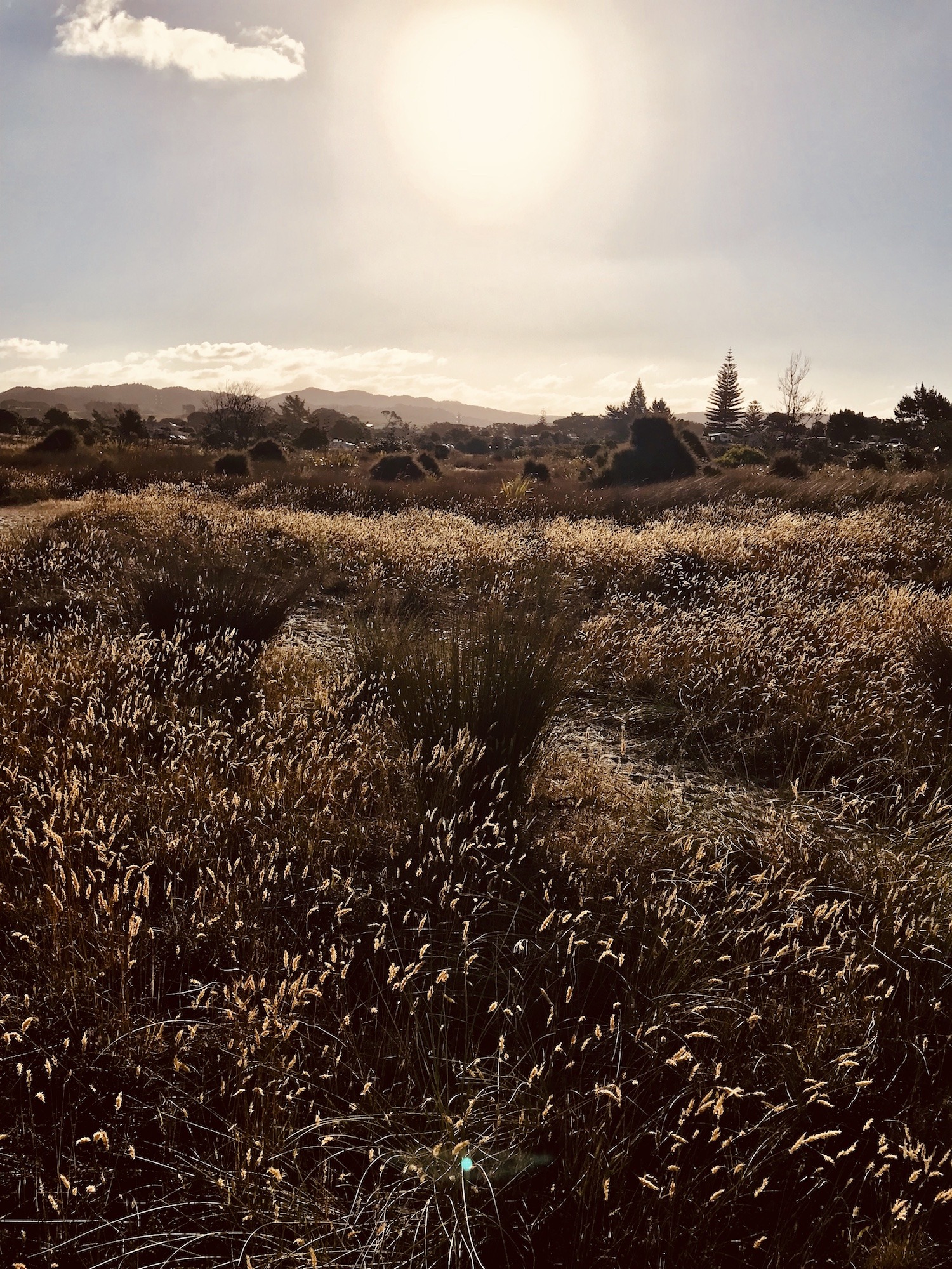 NZ Travel: The Best Ruakaka Accommodation Options To Suit All Tastes ...