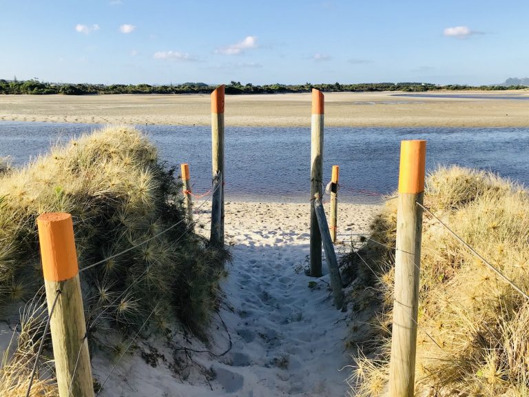 NZ Travel: The Best Ruakaka Accommodation Options To Suit All Tastes!