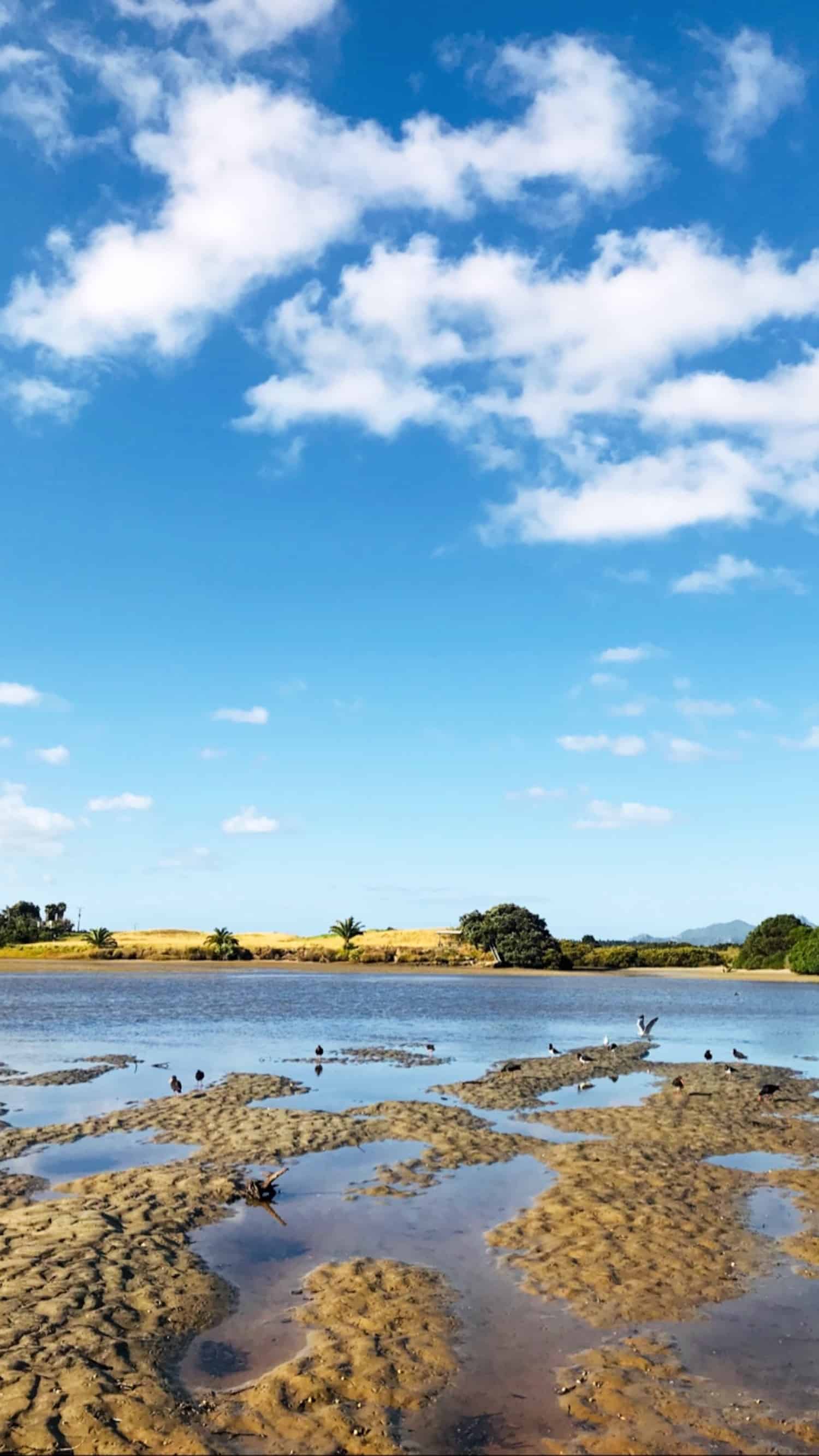 NZ Travel: The Best Ruakaka Accommodation Options To Suit All Tastes ...