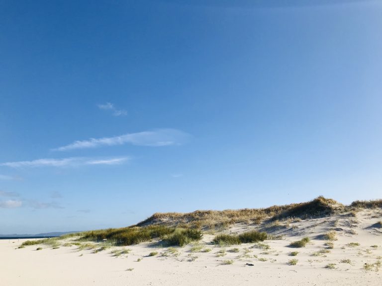 NZ Travel: The Best Ruakaka Accommodation Options To Suit All Tastes!