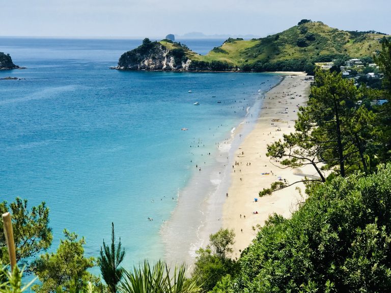 Why The Cathedral Cove Walk Should Be Top Of Your NZ Bucket List ...