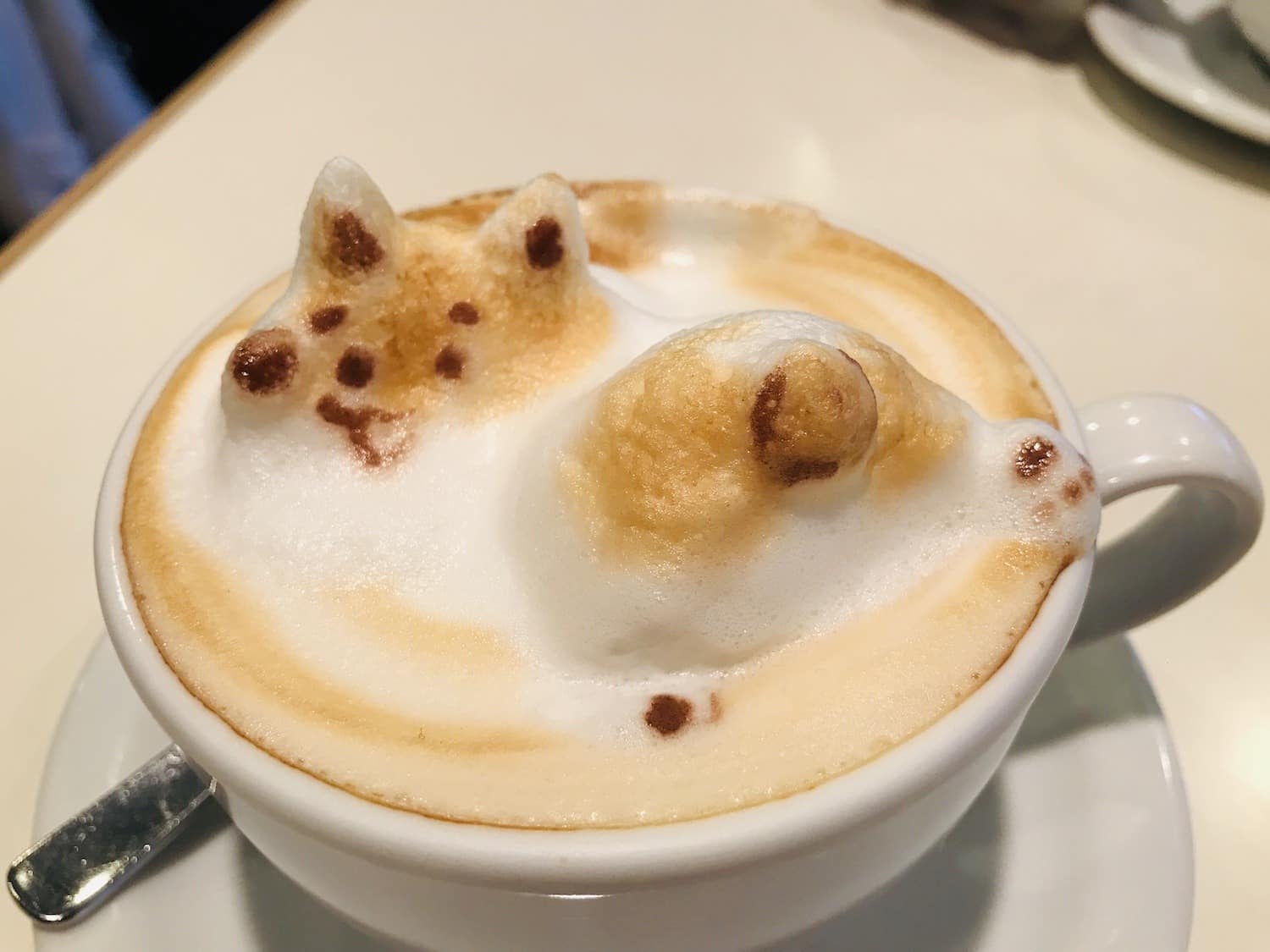 15 Cute Things To Do In Tokyo Japan: Let's Get Kawaii! Inspired By Maps