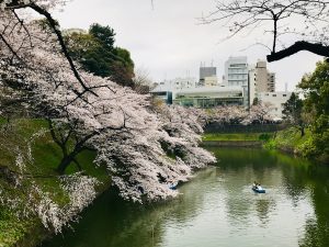 15 Cute Things To Do In Tokyo Japan: Let's Get Kawaii!