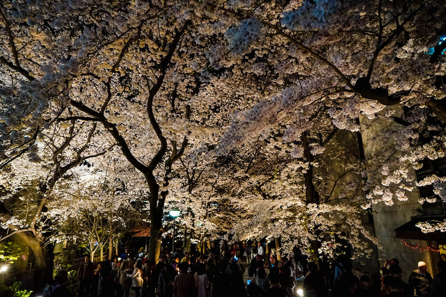 13 Fun Things To Do In Kyoto: The City Of A Thousand Secrets ⛩ ...