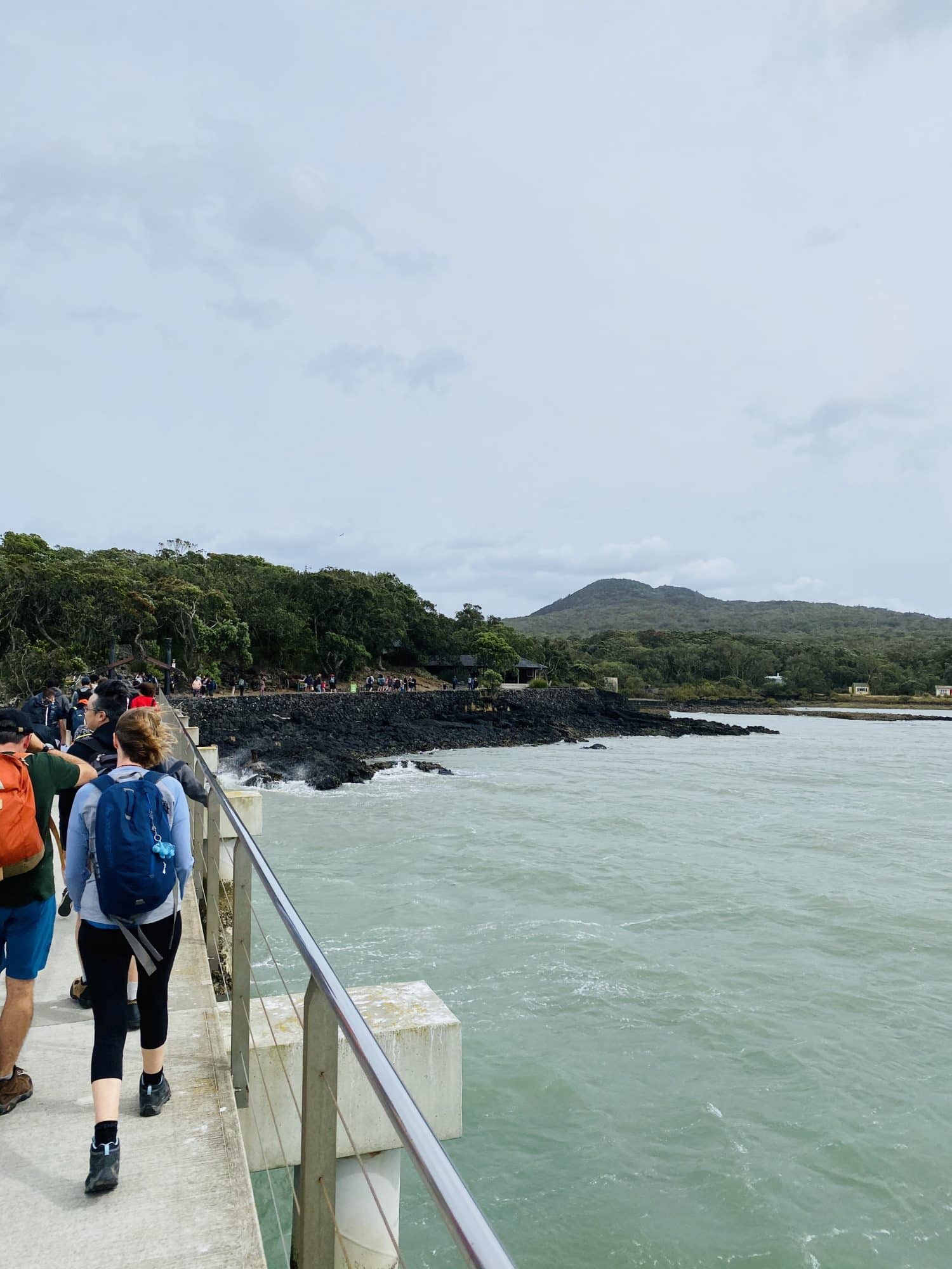 Rangitoto Island Day Hike: Walking The Youngest Volcano In New Zealand ...