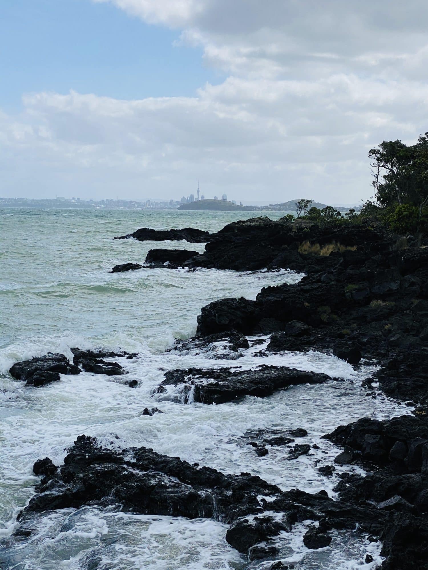 Rangitoto Island Day Hike: Walking The Youngest Volcano In New Zealand ...