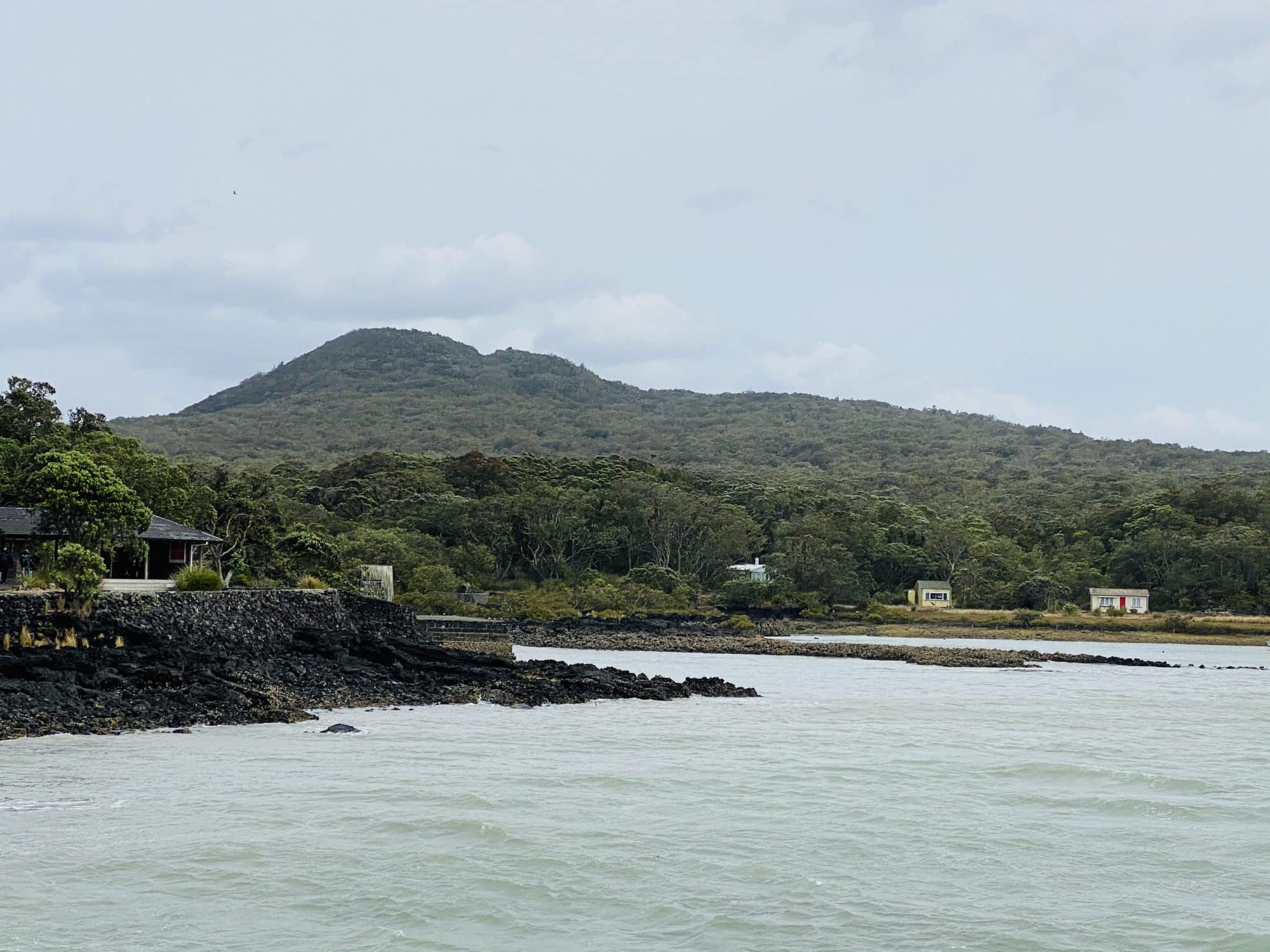 Rangitoto Island Day Hike: Walking The Youngest Volcano In New Zealand ...
