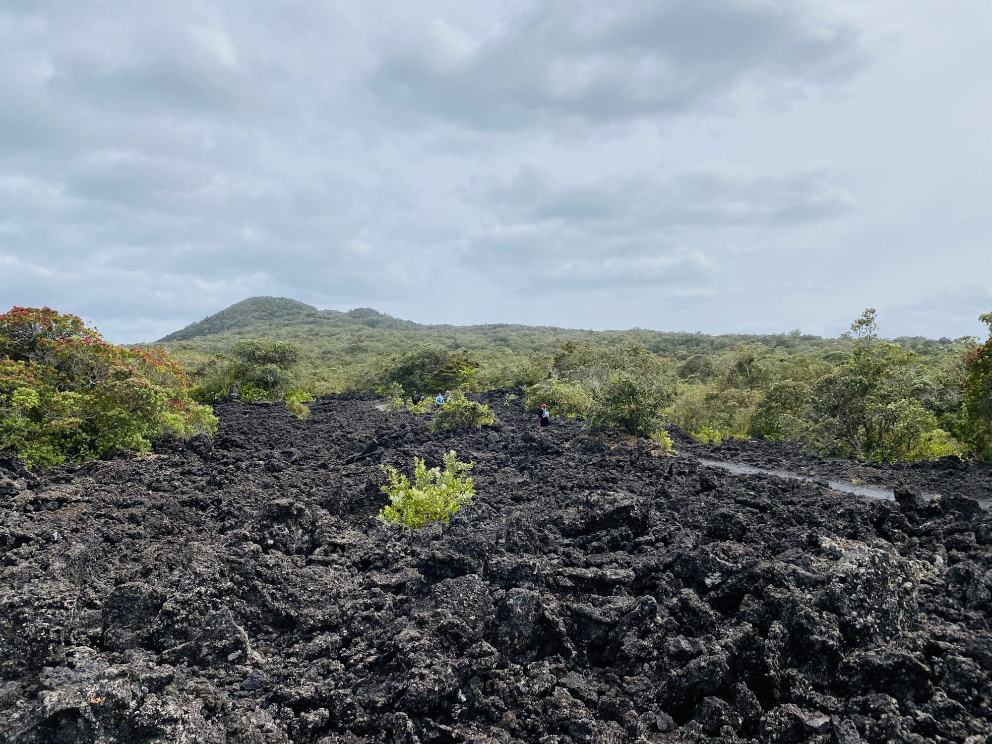 Rangitoto Island Day Hike: Walking The Youngest Volcano In New Zealand ...