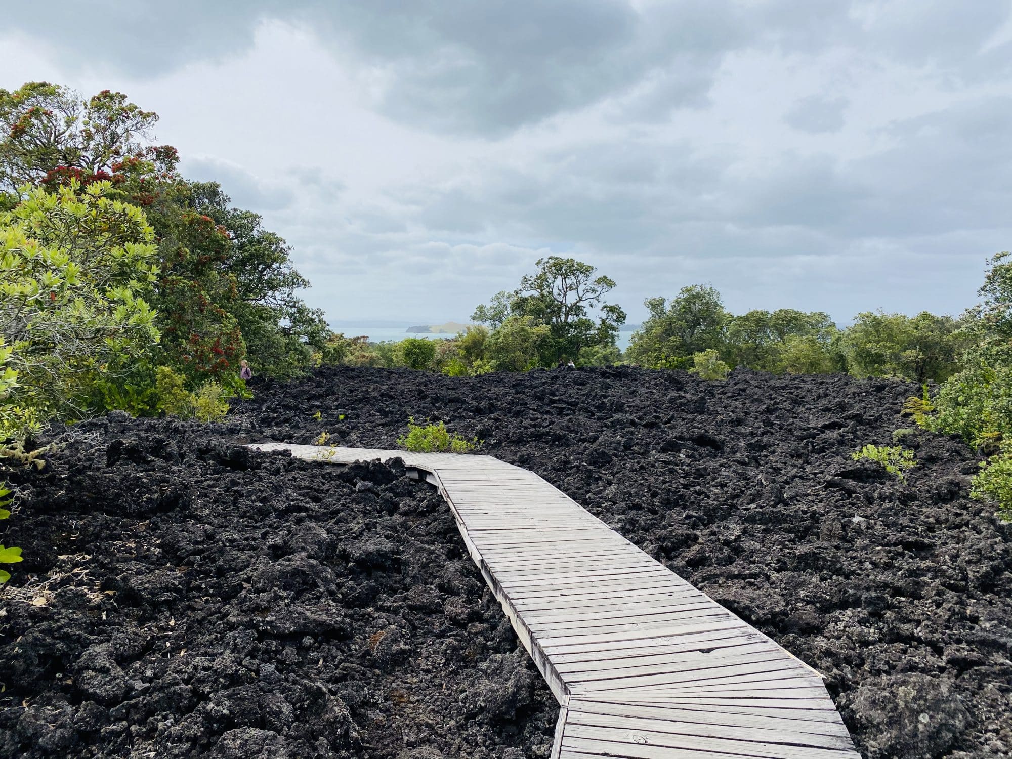 Rangitoto Island Day Hike: Walking The Youngest Volcano In New Zealand ...