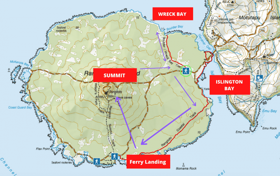 Rangitoto Island Day Hike: Walking The Youngest Volcano In New Zealand ...