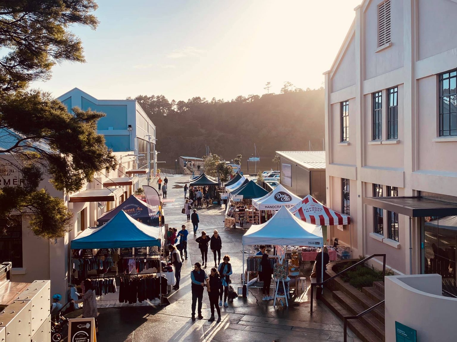 50 Things To Do In Auckland, New Zealand: Nature, Culture, Food & More ...