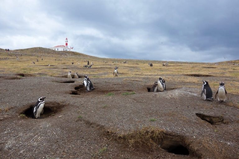 16 Famous Landmarks Of Chile To Plan Your Travels Around!