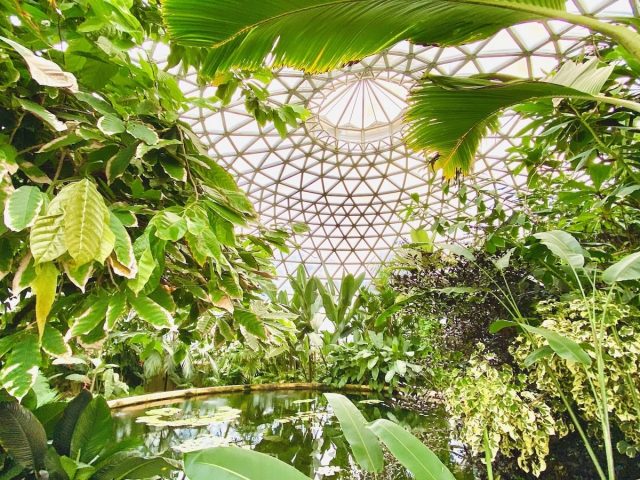 50 Things To Do In Brisbane That Feed Your Soul! | Inspired By Maps