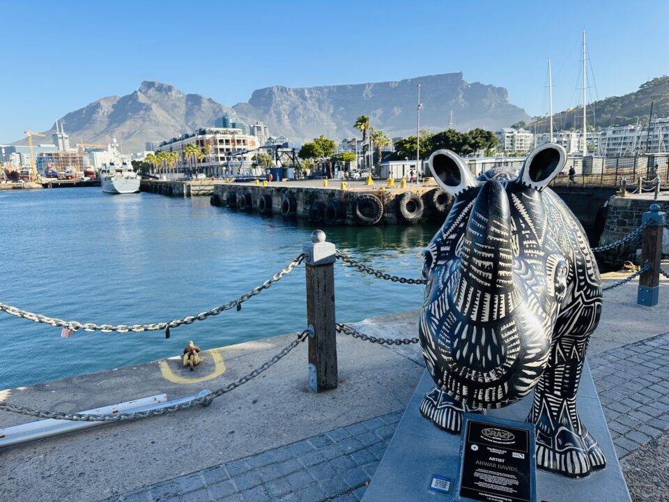 50 Fun Things To Do In Cape Town For Young Adults! | Inspired By Maps