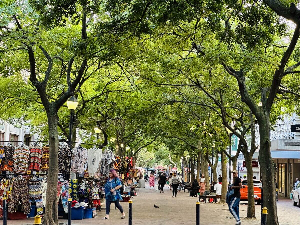 50 Fun Things To Do In Cape Town For Young Adults! | Inspired By Maps