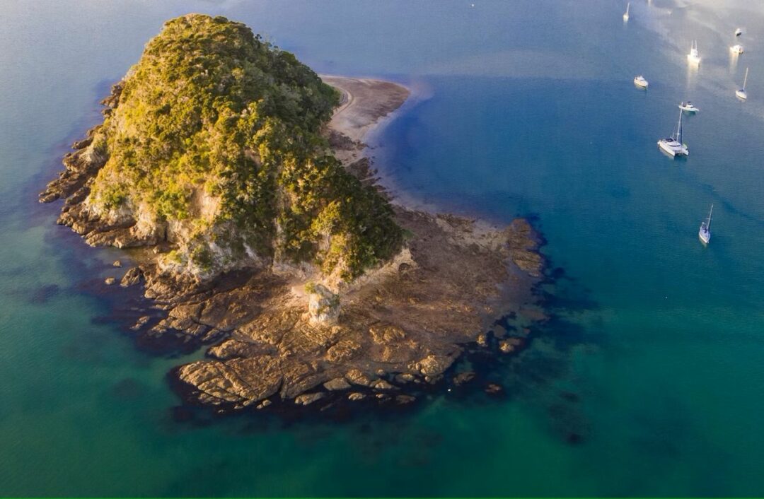 The Best Bay Of Islands Accommodation Options To Suit All Tastes!