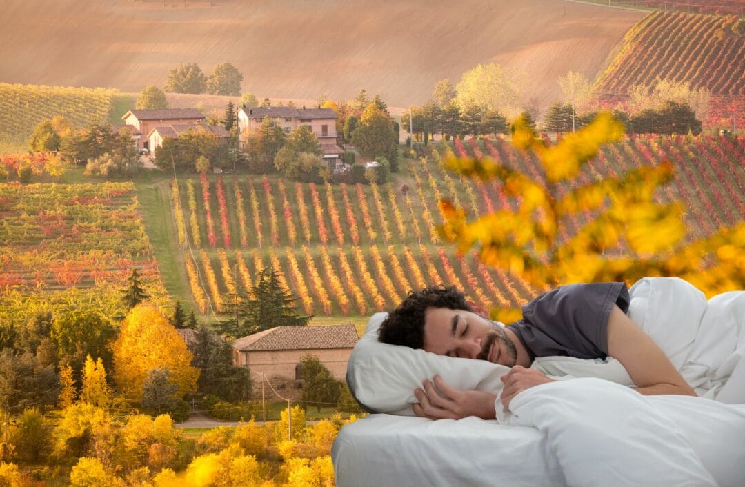 The 15 Best Hotels In Modena, Italy: Unwind With Modenese Marvels!