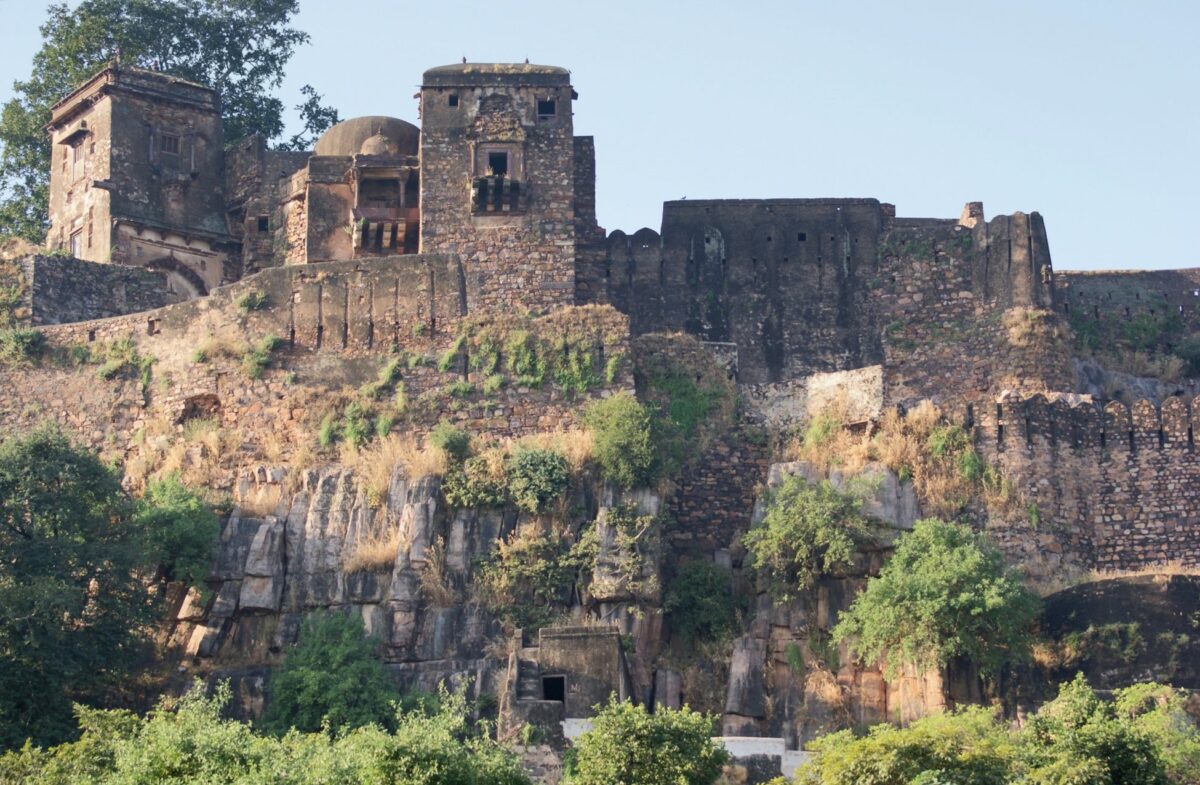 The 9 Best Hotels In Ranthambore India: Top Unforgettable Stays For ...