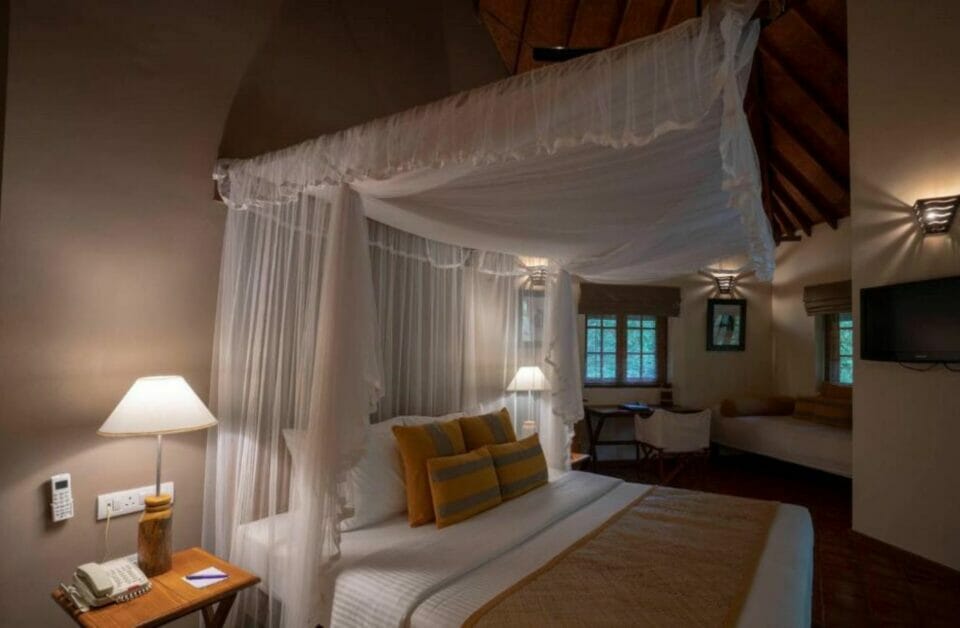 The 12 Best Hotels In Yala: Top Safari Stays To Roar About!