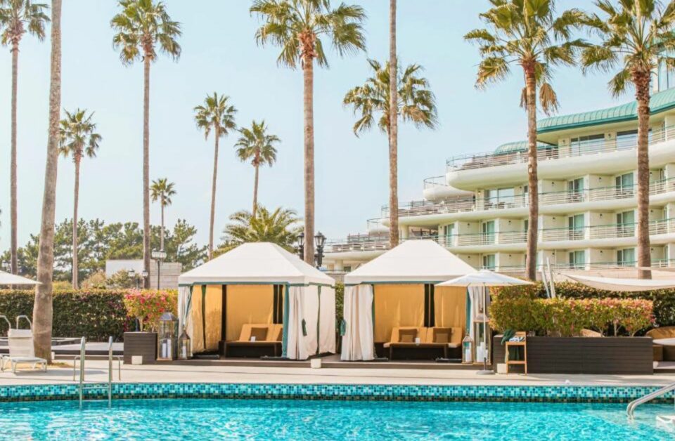The 15 Best Hotels In Jeju Island South Korea: Top Must-Stay Escapes!