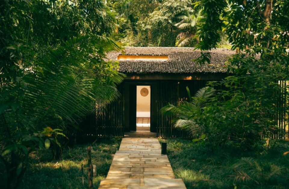 The 16 Best Hotels In Chitwan National Park Nepal: Top Nature Escapes ...
