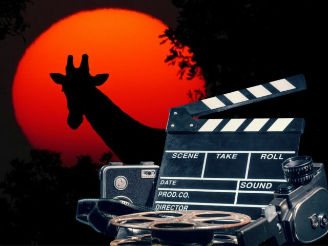 12 Extraordinary Movies Set In Africa That Will Inspire You To Visit ...