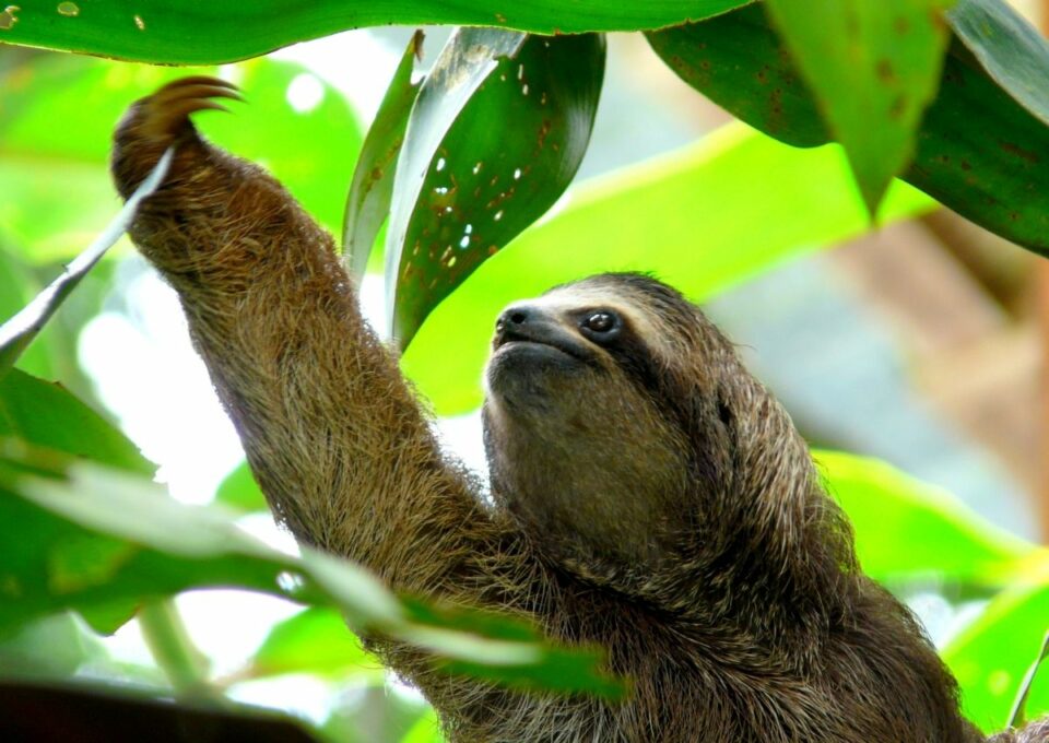 10 Extraordinary Movies Set In Costa Rica That Will Inspire You To ...