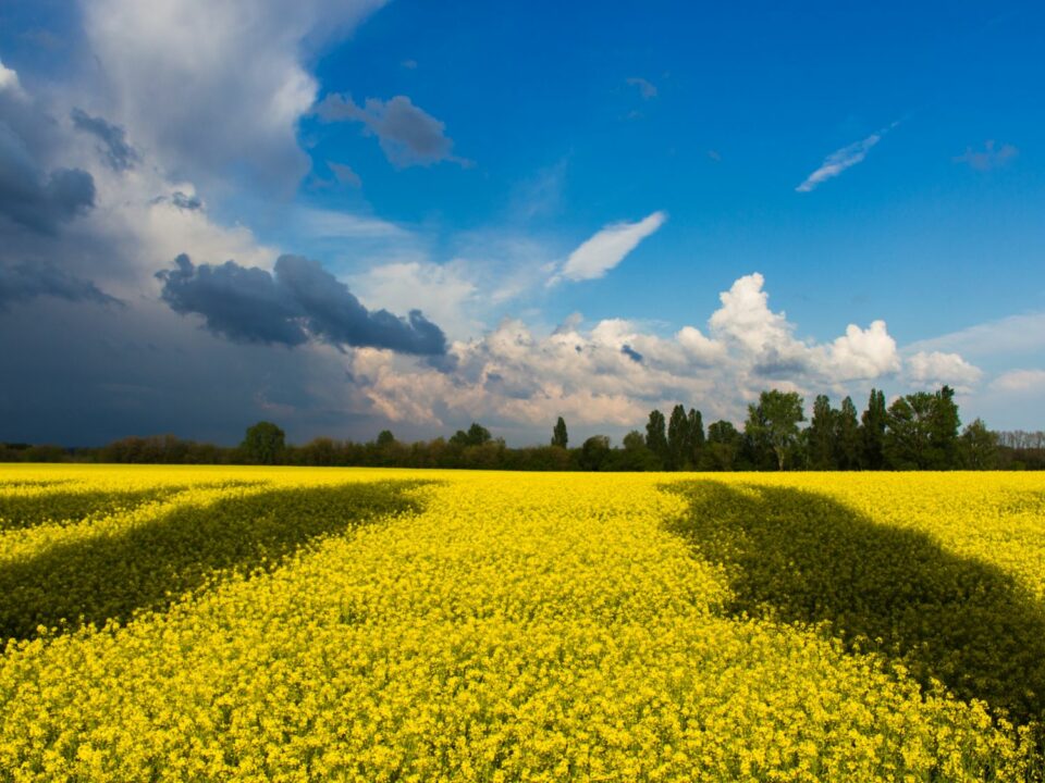 17 Extraordinary Movies Set In Ukraine That Will Inspire You To Visit!