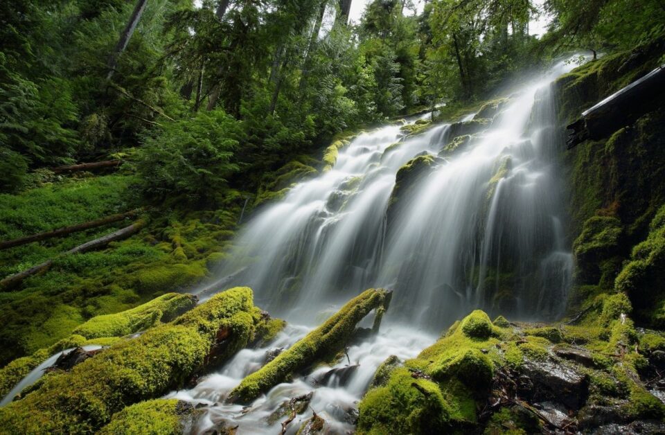 12 Extraordinary Movies Set In Oregon That Will Inspire You To Visit!