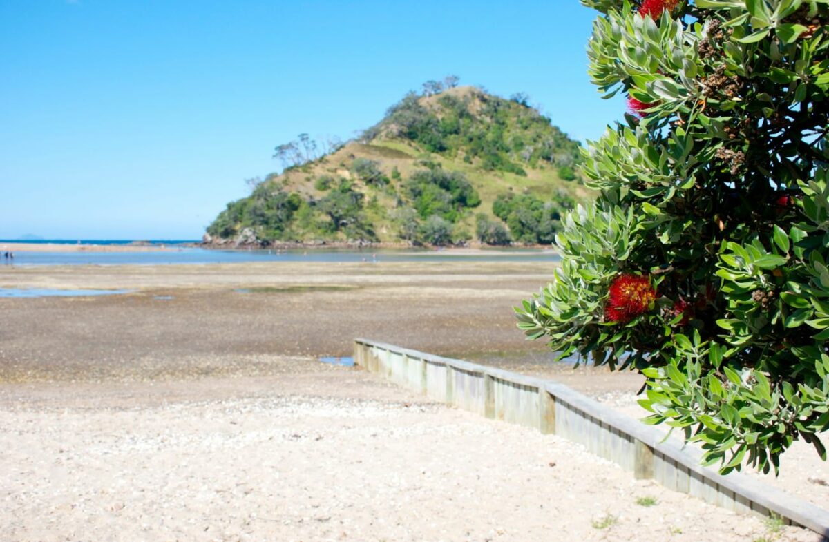 The Best Northland Accommodation Options To Suit All Tastes!