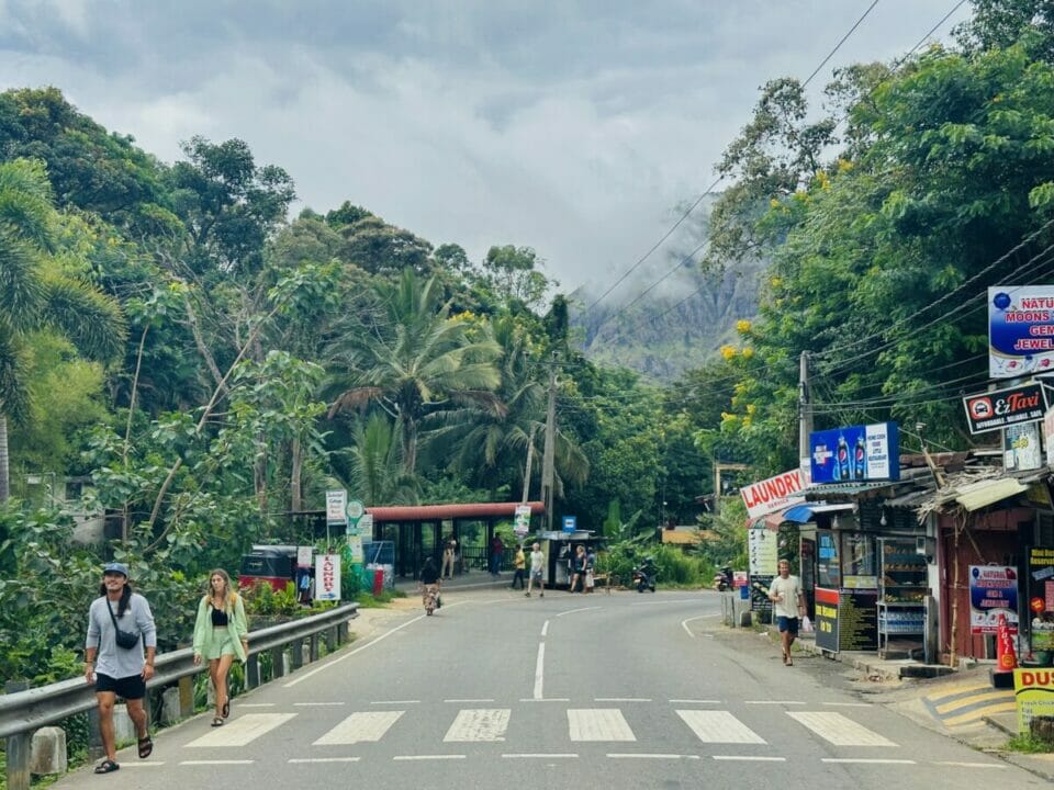 One Life Adventures Sri Lanka Review: A Decidedly Mixed Bag In An ...