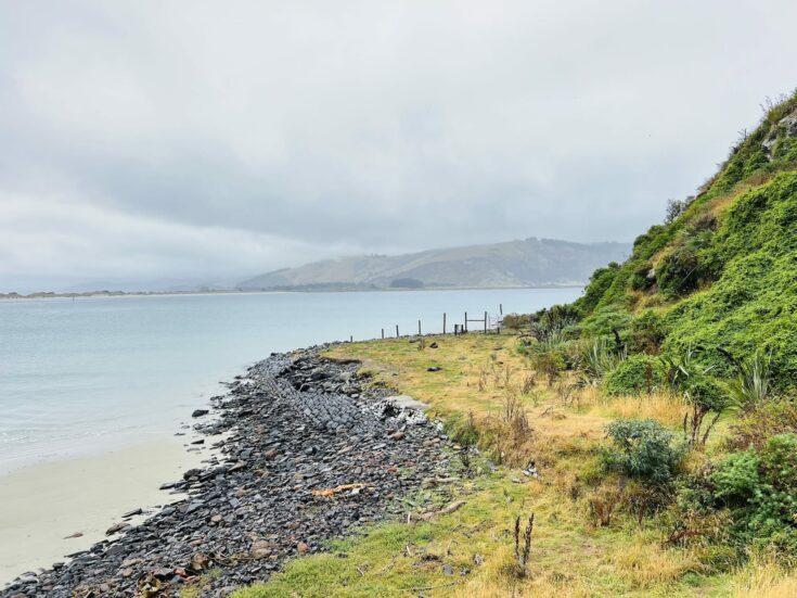 Why You Absolutely Need To Visit The Taiaroa Head And The Royal ...