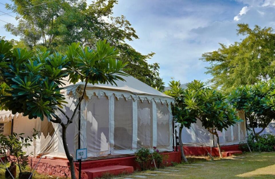 The 9 Best Hotels In Ranthambore India: Top Unforgettable Stays For ...