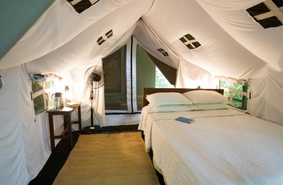The 16 Best Hotels In Chitwan National Park Nepal: Top Nature Escapes ...