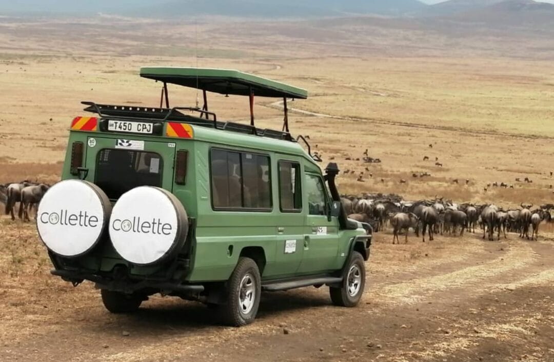 Unlocking Adventure: The Top 5 Best Collette Tours For Every Traveler ...