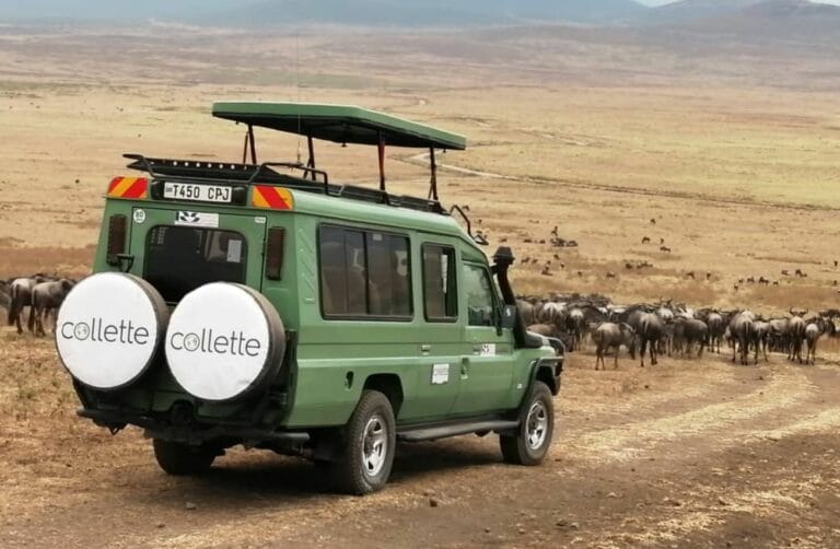 Unlocking Adventure: The Top 5 Best Collette Tours For Every Traveler ...