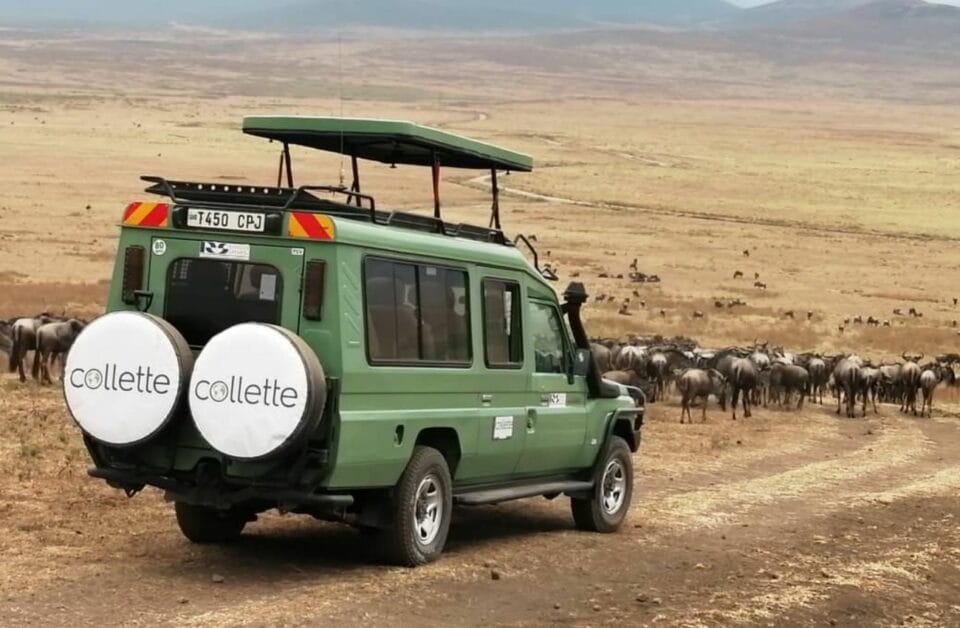 Unlocking Adventure: The Top 5 Best Collette Tours For Every Traveler ...