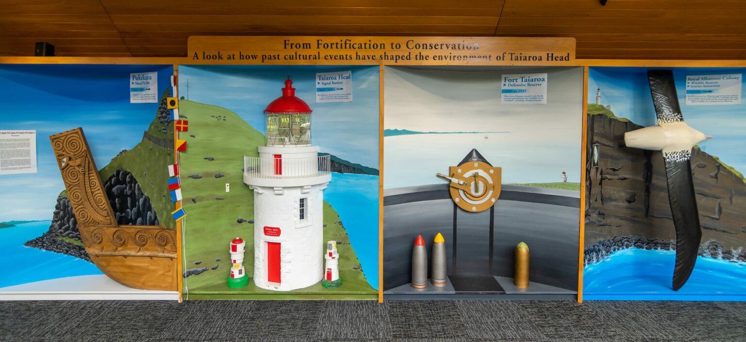 Why You Absolutely Need To Visit The Taiaroa Head And The Royal ...