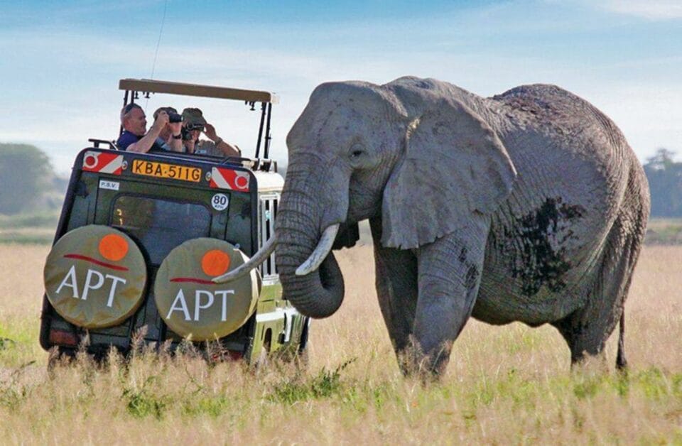 Unlocking Adventure: The Top 7 Best APT Tours For Every Traveler ...